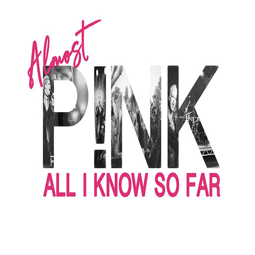 The Best & Spectacularly Authentic Pink Tribute, In The Entire World ...